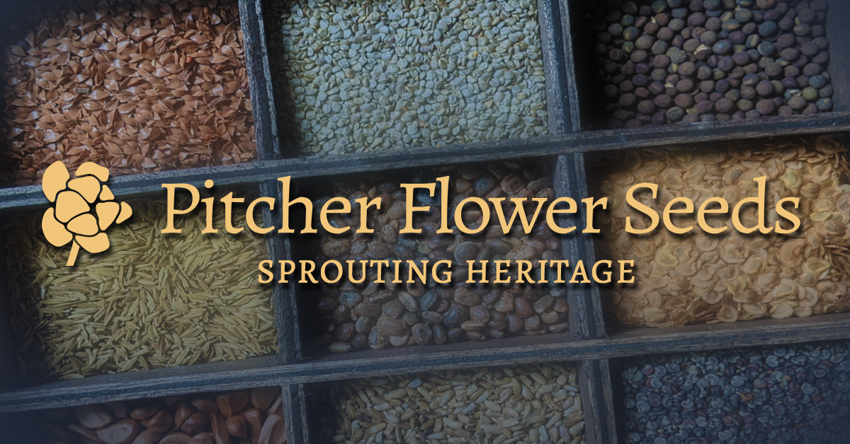 Products – Pitcher Flower Seeds